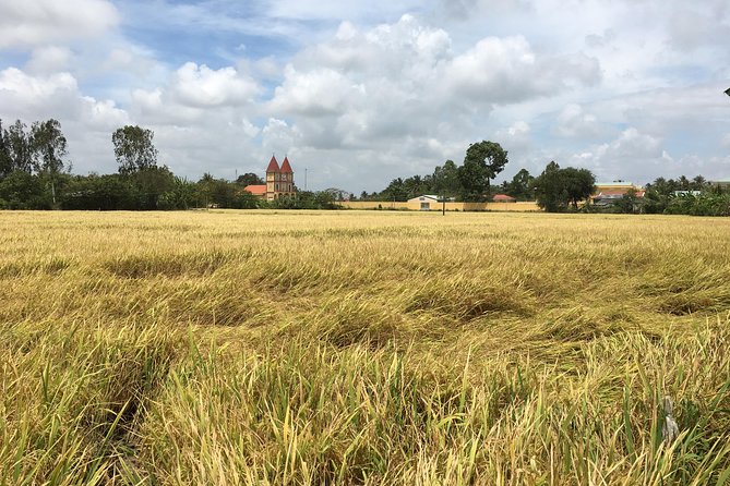 Private Full-day Mekong Tour From Ho Chi Minh City, Including River Cruise - What Travelers Say