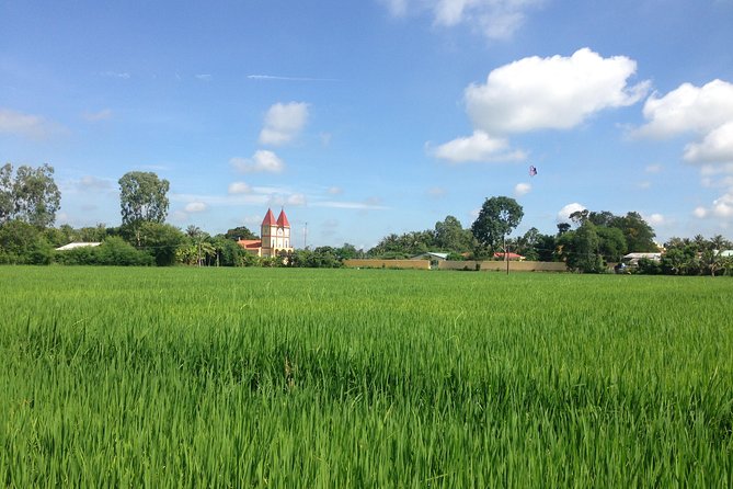 Private Full-day Mekong Tour From Ho Chi Minh City, Including River Cruise - Analyzing the Value