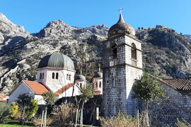 Private Full Day Montenegro Tour - Traveler Recommendations and Feedback