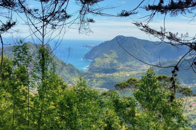 Private Full Day Off-Road Tour in Madeira - Off-Road Exploration