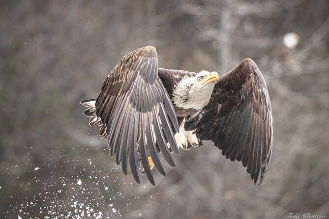 Private Full Day Photography Workshop of Fairbanks - Final Thoughts