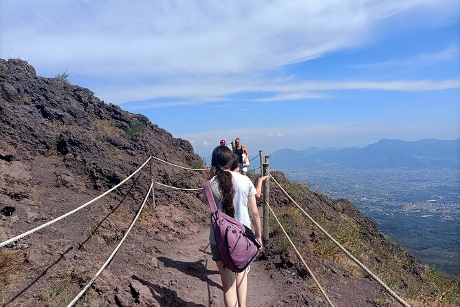 Private Full Day Pompeii & Volcano Vesuvius Tour from Rome - FAQ
