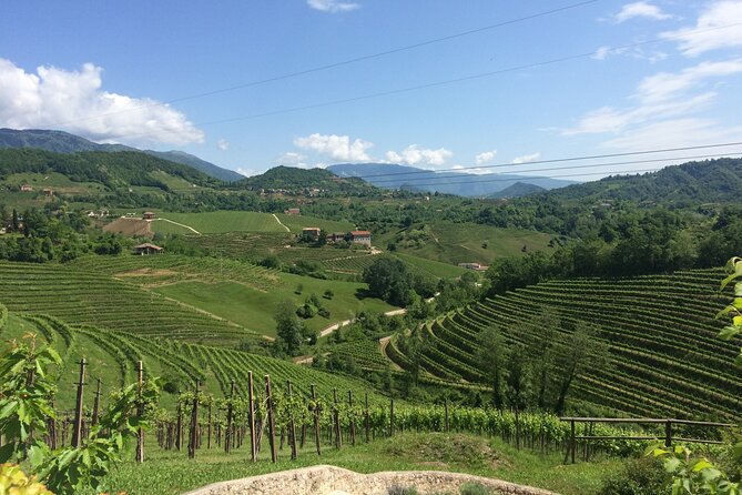 Private Full-Day Prosecco Wine Tour from Venice - Who Should Consider This Tour?