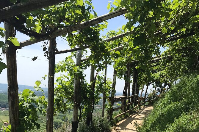 Private Full-Day Prosecco Wine Tour from Venice - Final Thoughts