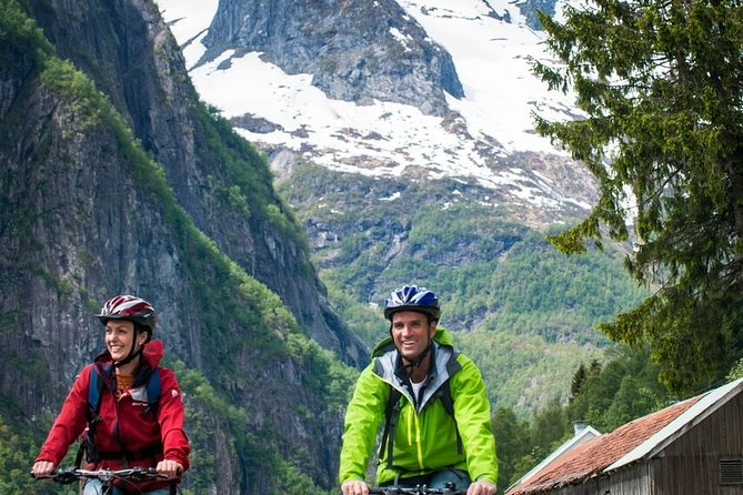 Private Full-Day Round Trip From Oslo to Sognefjord via Flåm Railway - Memorable Moments and Lasting Impressions