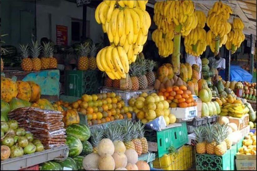 Private Full-Day Safari Adventure in Punta Cana with Pickup - Key Points