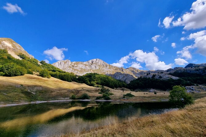 Private Full Day Safari Tour - The Sum Up