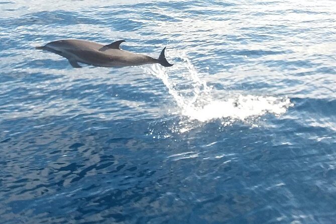 Private Full Day Sail/ Snorkel Experience USVI (Sapphire Marina, STT pick up) - The Sum Up: Who Will Love This Tour?