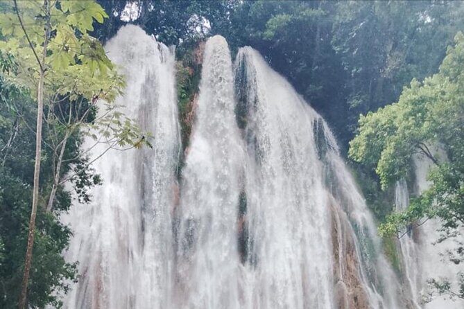 Private Full-Day Samaná Whale Watching Tour from Punta Cana - FAQ