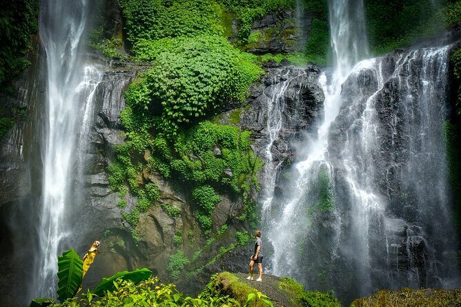 Private Full-Day Sekumpul Waterfall Hiking Tour - Introduction to the Experience