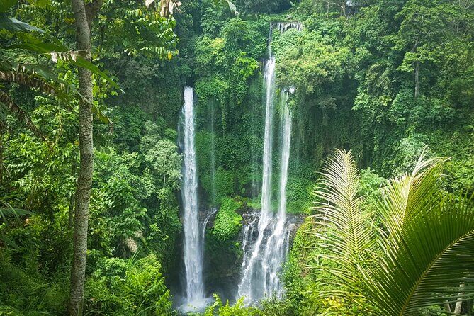 Private Full-Day Sekumpul Waterfall Hiking Tour - Who Would Love This Tour?