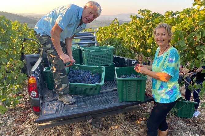 PRIVATE Full-Day Siena, San Gimignano and Chianti From Florence - Taking in the Chianti Countryside