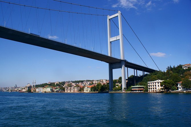 Private Full-Day Sightseeing Tour in Istanbul - Driver Information