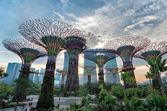 Private Full Day Singapore Highlights Tour - The Experience Through the Eyes of Others