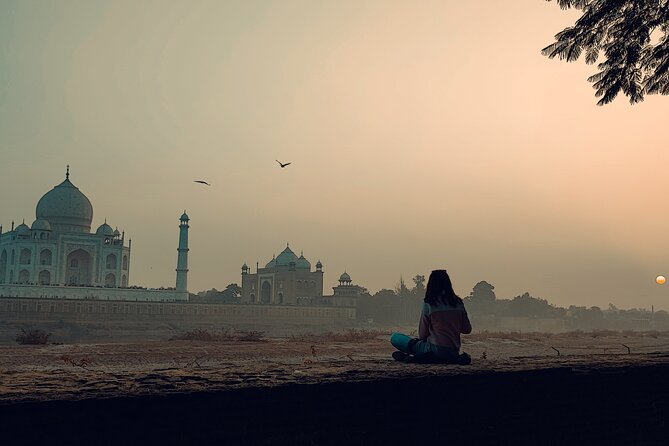 Private Full-Day Taj Mahal and Agra Fort Tour from New Delhi - Who Should Consider This Tour