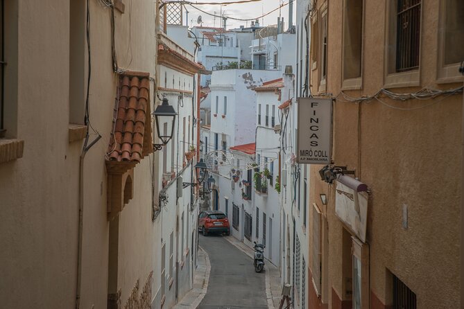 Private Full-Day Tarragona and Sitges - Highlights From Traveler Reviews