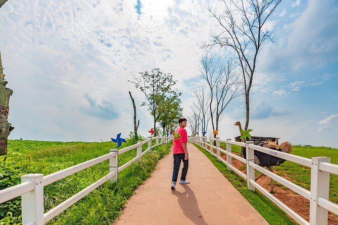 Private Full day Tour Anseong Farm Land with Gwangmyeong Cave - Exploring Gwangmyeong Cave: Art, Culture, and Adventure