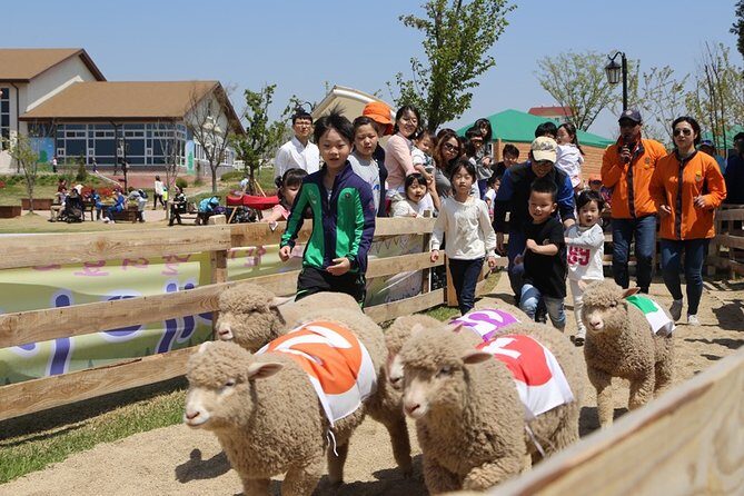 Private Full day Tour Anseong Farm Land with Gwangmyeong Cave - FAQ