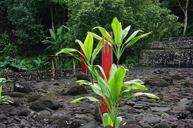 Private full day tour around Tahiti: the island's nature wonders - The Sum Up