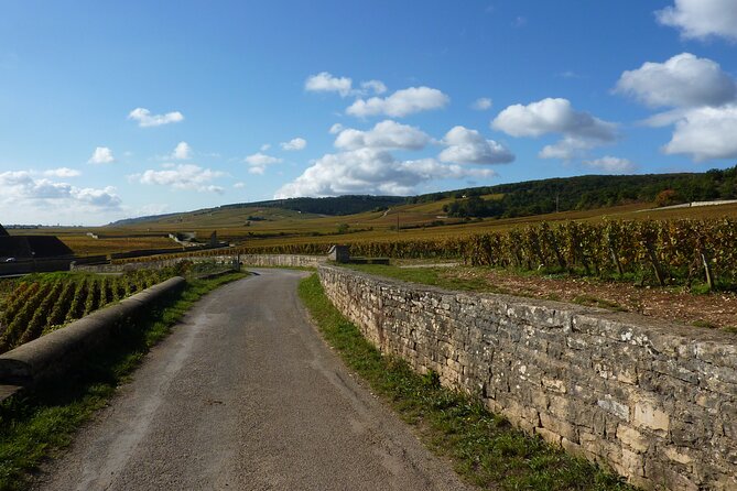 Private Full Day Tour Burgundy Gourmet - Introduction