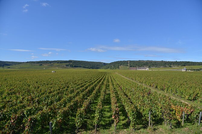 Private Full Day Tour Burgundy Gourmet - Transportation, Timing, and Group Size