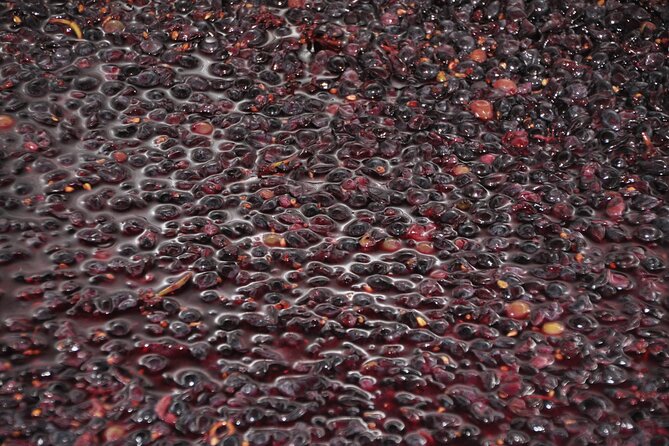 Private Full Day Tour Burgundy Gourmet - FAQ