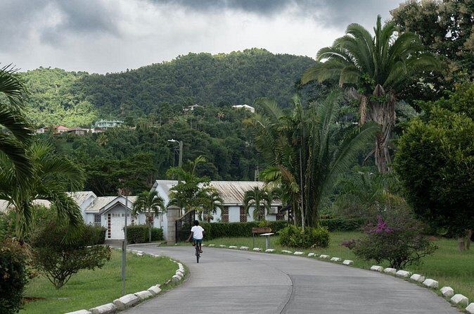 Private Full Day Tour Exploring and Tasting Roseau - Wrapping Up: Is This the Tour for You?