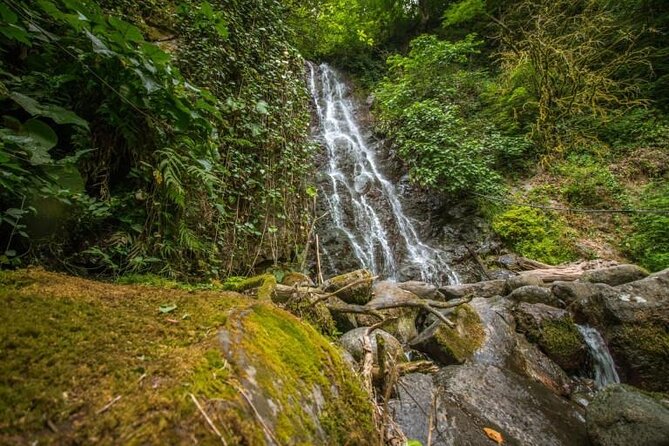 Private Full Day Tour From Batumi to Waterfalls - Booking and Cancellation Policy