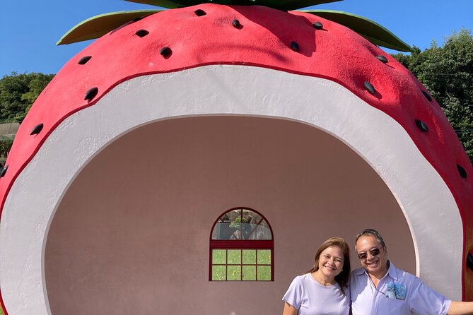 Private Full Day Tour From Fukuoka to Nagasaki - Nagasaki: A City of History and Culture