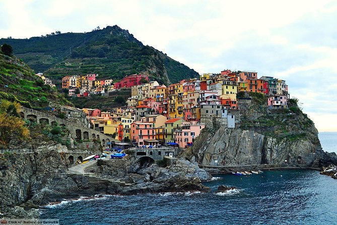 Private Full Day Tour from Genova pier: Cinque Terre - What Travelers Say