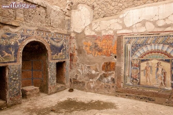 Private full day tour Herculaneum ruins Mt Vesuvio and Winery - Authentic Experiences and Reviews