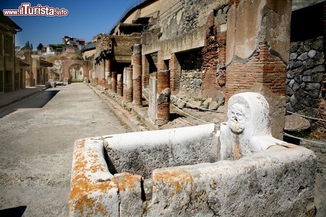 Private full day tour Herculaneum ruins Mt Vesuvio and Winery - The Sum Up: Who Should Book This Tour?