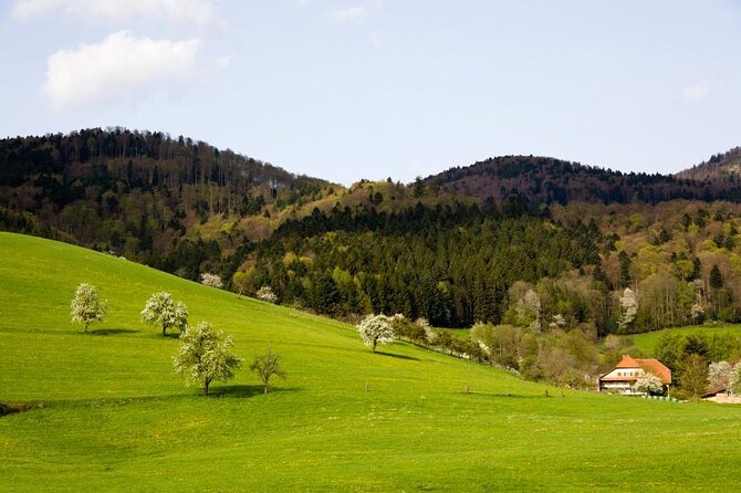 Private Full Day Tour in Baden's Black Forest - Discover the Black Forest on a Private Full-Day Tour from Karlsruhe