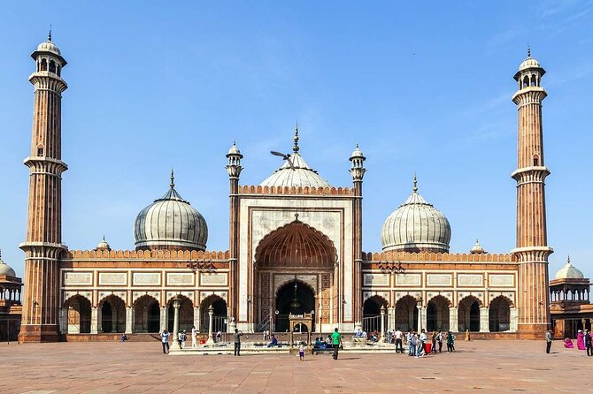 Private Full Day Tour in Delhi - The Experience in Real Life