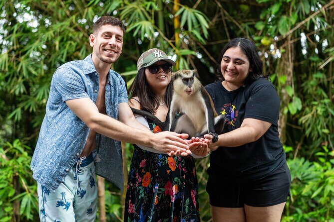 Private Full-day Tour in Grenada with Pickup - Final Thoughts