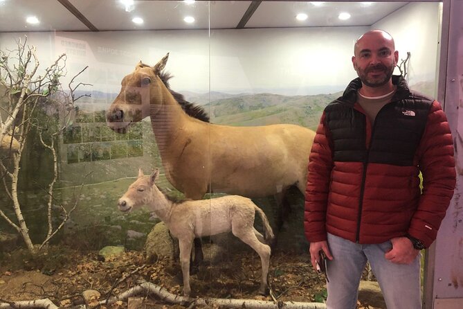 Private Full Day Tour in Khustain Nuruu National Park - Valuing the Experience: Price, Support, and Authenticity