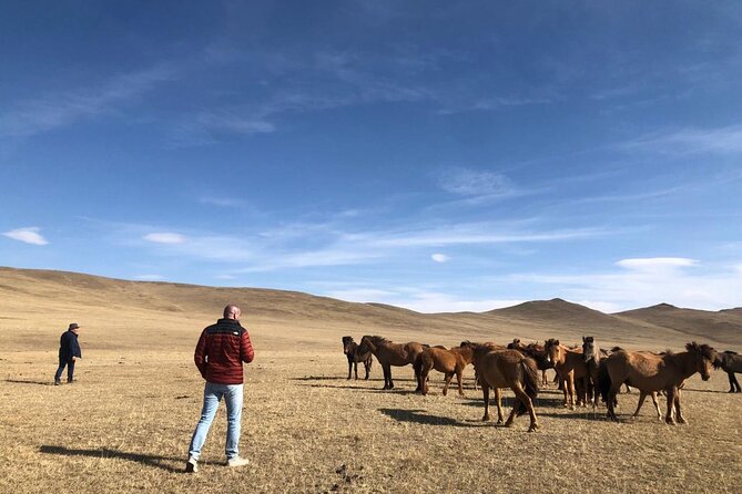 Private Full Day Tour in Khustain Nuruu National Park - Frequently Asked Questions