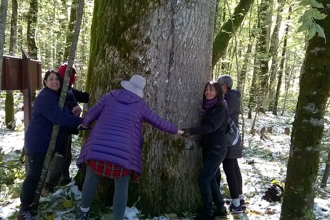 Private Full-Day Tour in Moraca and Tara Canyons, Durmitor & Biogradska Gora NP - Exploring Moraca and Tara Canyons
