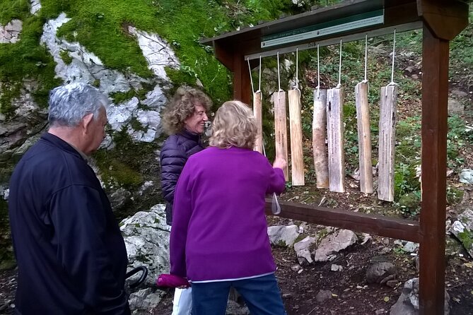 Private Full-Day Tour in Moraca and Tara Canyons, Durmitor & Biogradska Gora NP - Visiting Biogradska Gora National Park