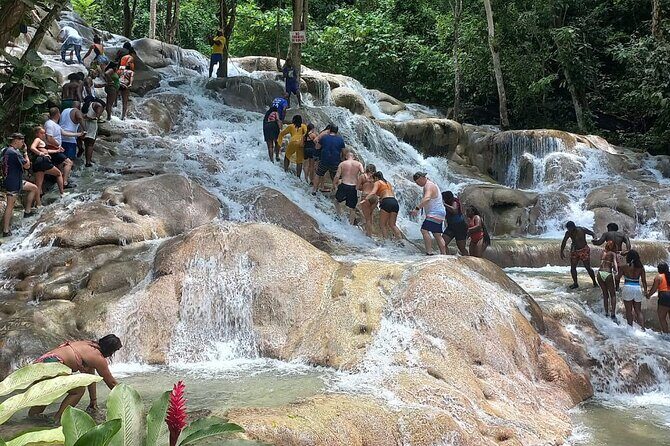 Private Full-Day Tour in Ocho Rios from Montego Bay - Who Should Consider This Tour?