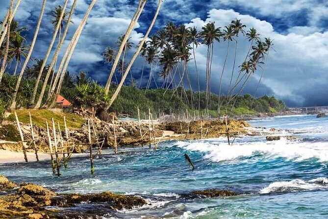 Private Full Day Tour in The Dutch Fort Galle with Pickup - Stilt Fishing: A Classic Sri Lankan Sight