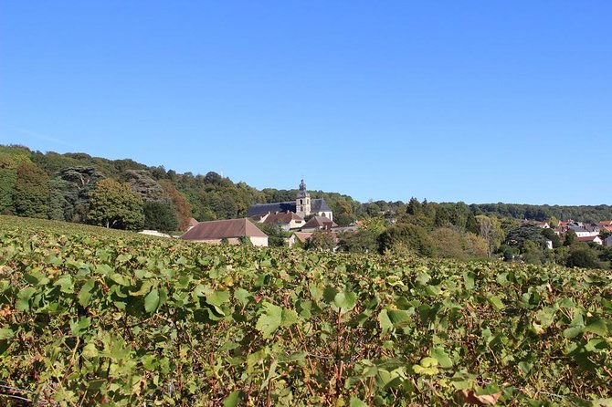 Private Full-Day Tour of Champagne Region - Who Is This Tour Best For?