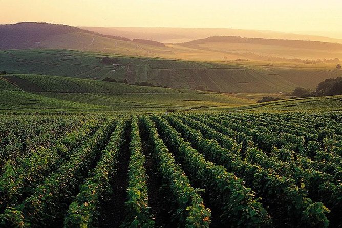 Private Full-Day Tour of Champagne Region - FAQs