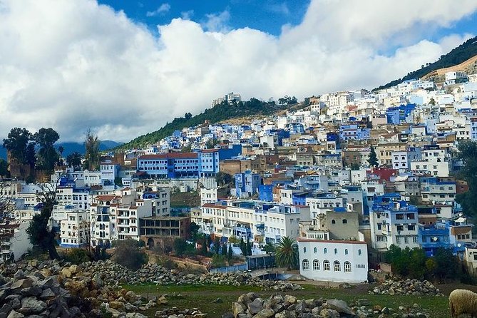 Private Full Day Tour of Chefchaouen from Malaga - Return Journey and Reflection