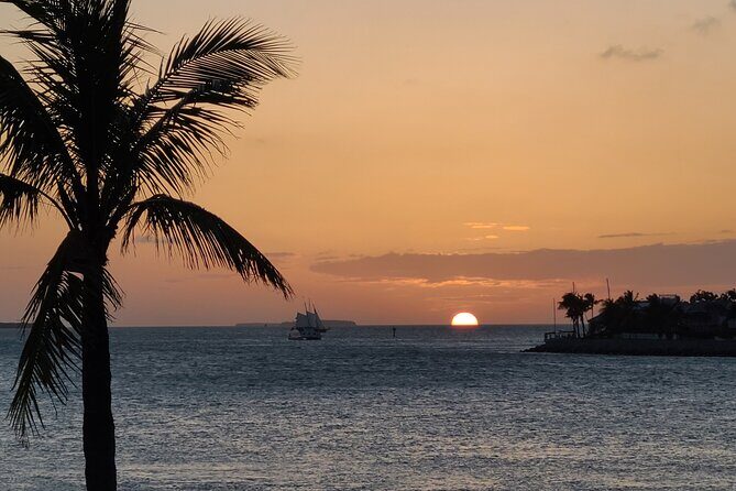Private Full-Day Tour of Florida Keys from Key Largo to Key West - Why This Tour Works for You
