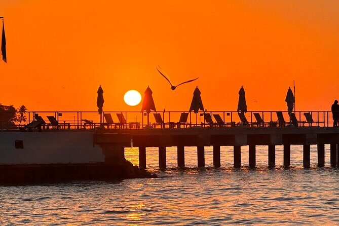 Private Full-Day Tour of Florida Keys from Miami/FLL to Key West - Final Thoughts