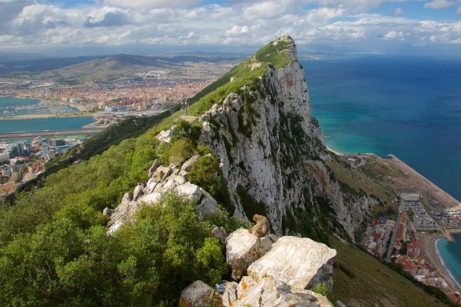 Private Full Day Tour of Gibraltar from Malaga or Marbella - Transportation and Timing: What to Expect