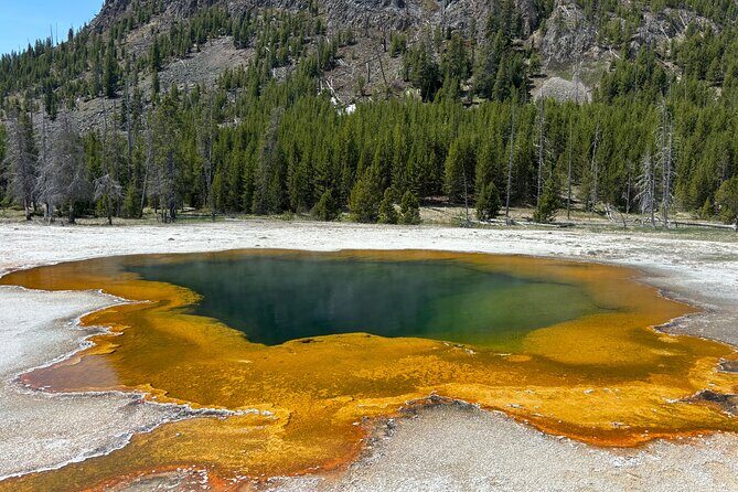 Private Full Day Tour of Yellowstone's Natural Wonders - The Itinerary in Detail