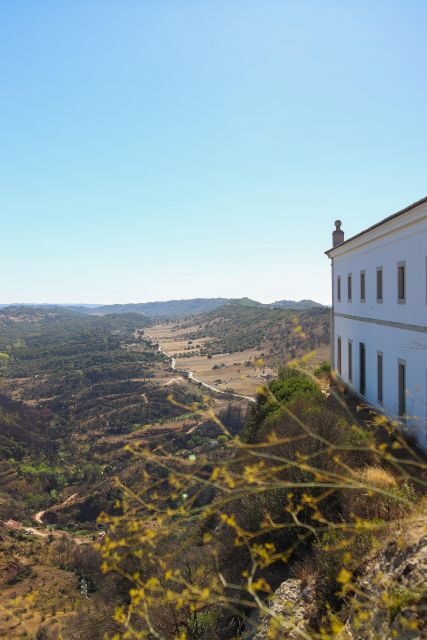 Private Full Day Tour Setubal - The Experience: What You Can Expect