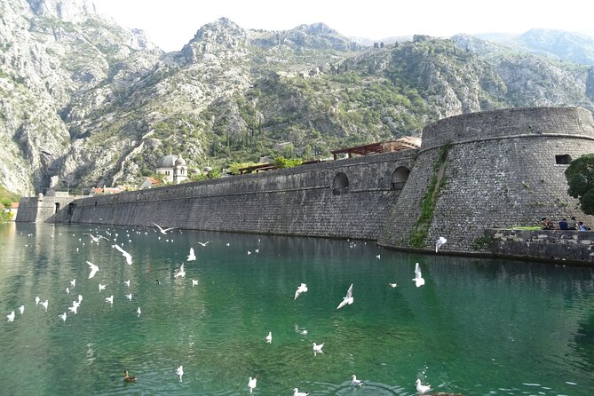 Private Full-Day Tour - Skadar Lake National Park, Saint Stefan and Kotor Tour - Frequently Asked Questions